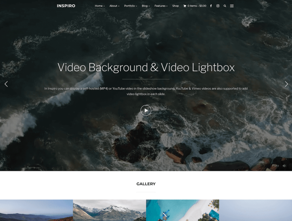 Premium WordPress Themes - WPZOOM