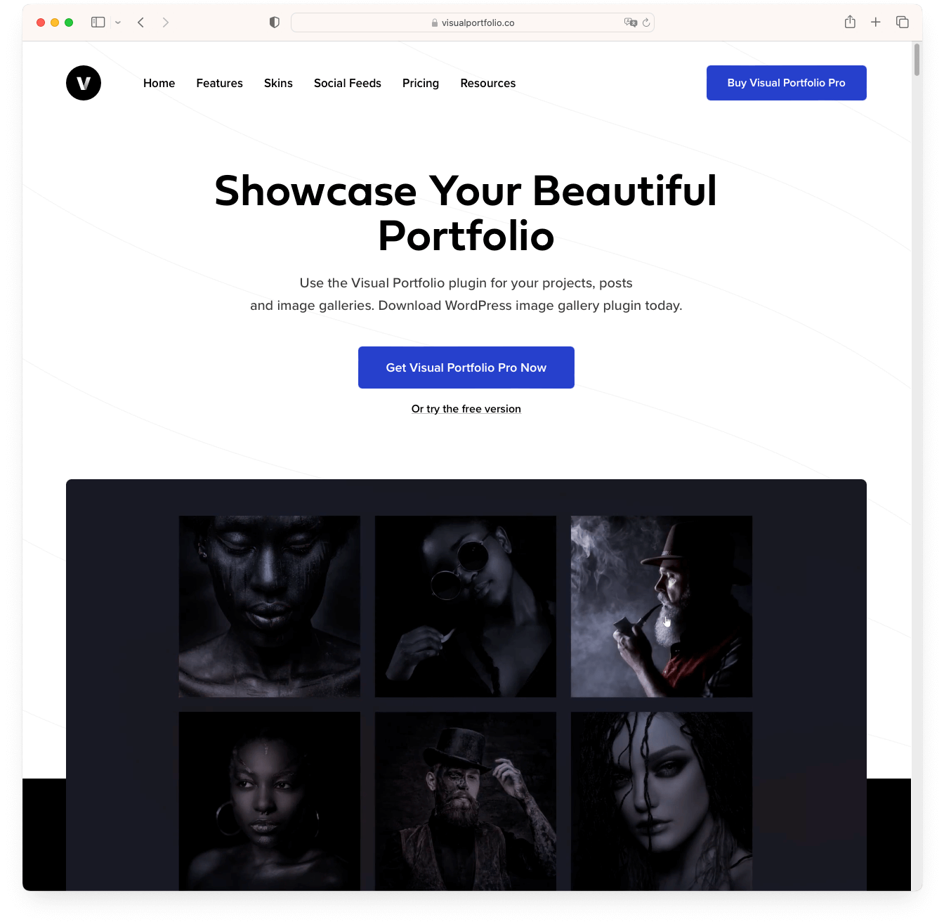12 Best WordPress Portfolio Plugins in 2025 - WPZOOM