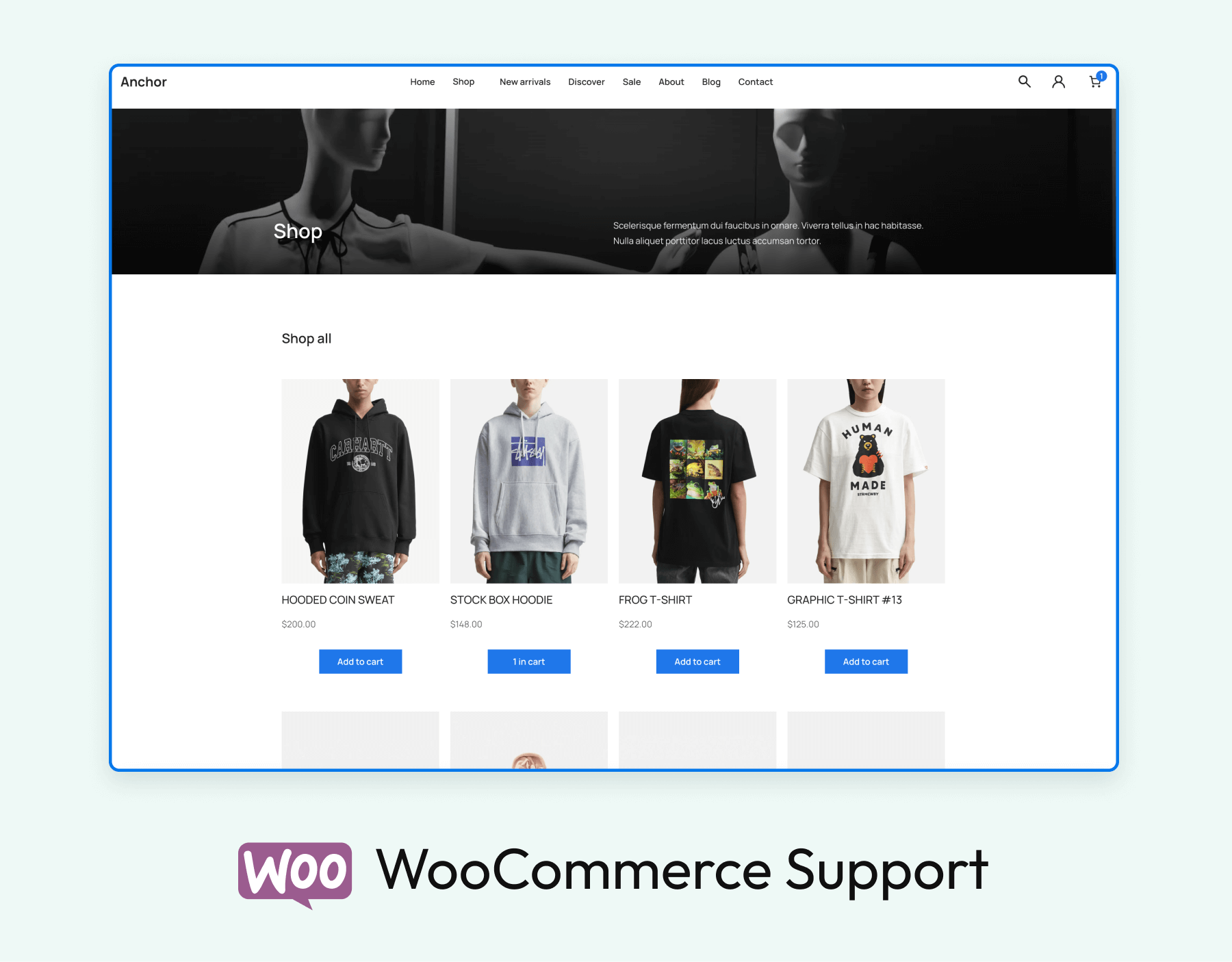 What Is WooCommerce? Understanding the Basics - WPZOOM