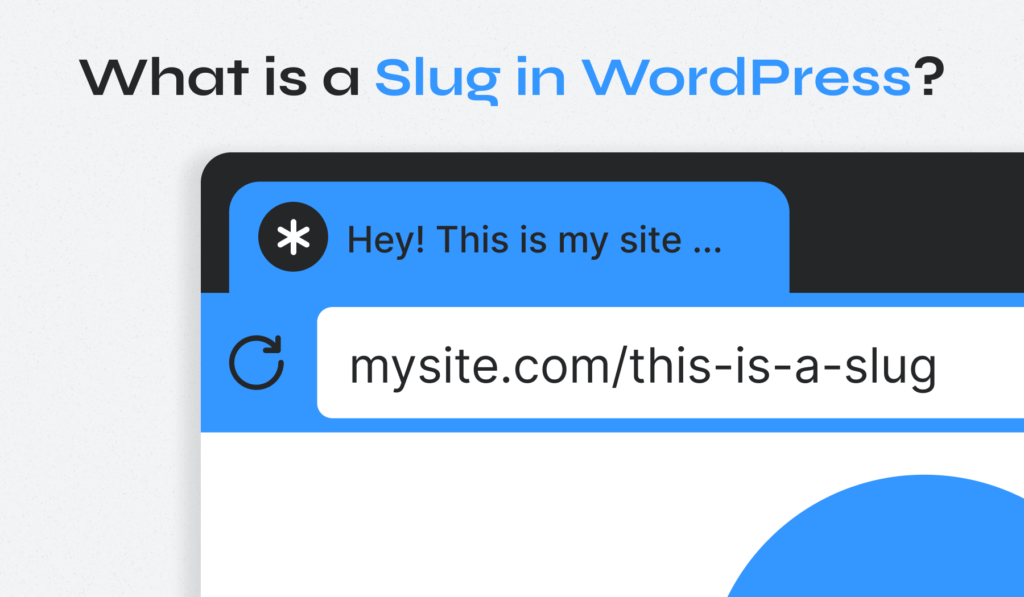 What Is a Slug in WordPress? Complete Guide - WPZOOM