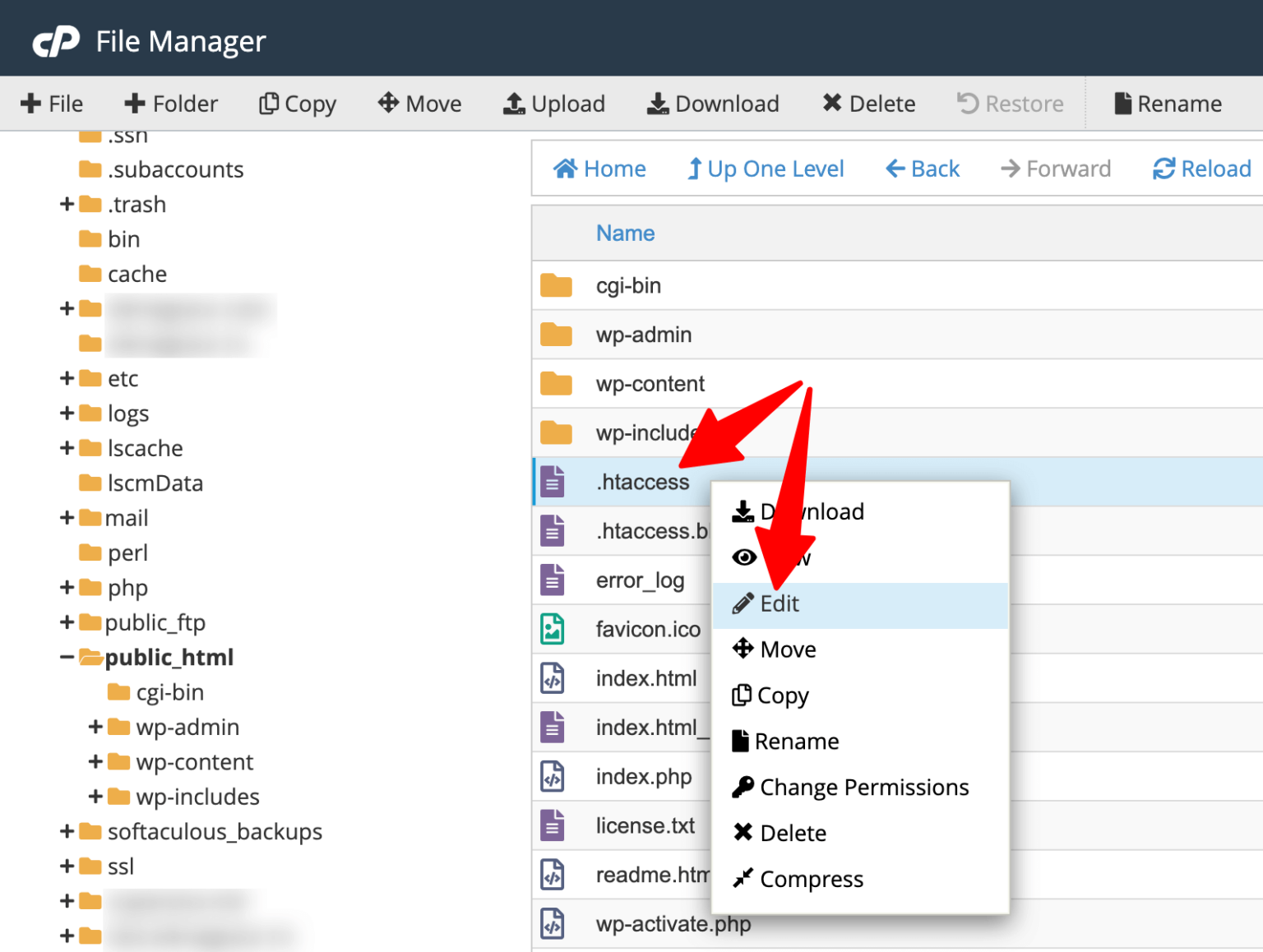 WordPress .htaccess File: A Beginner's Complete Tutorial - WPZOOM